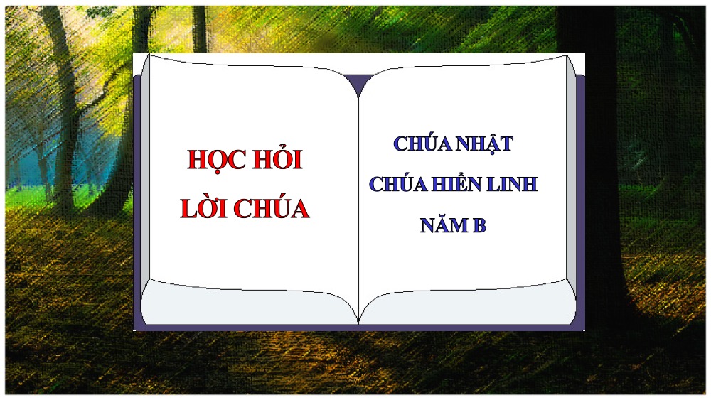 HỌC HỎI LỜI CHÚA LỄ CHÚA HIỂN LINH NĂM B | Giáo Phận Thanh Hóa